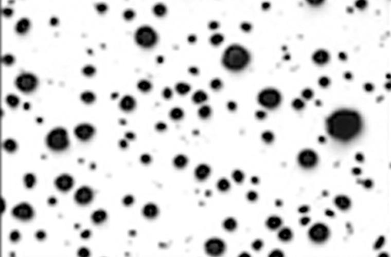 Ductile Iron Part Inspection